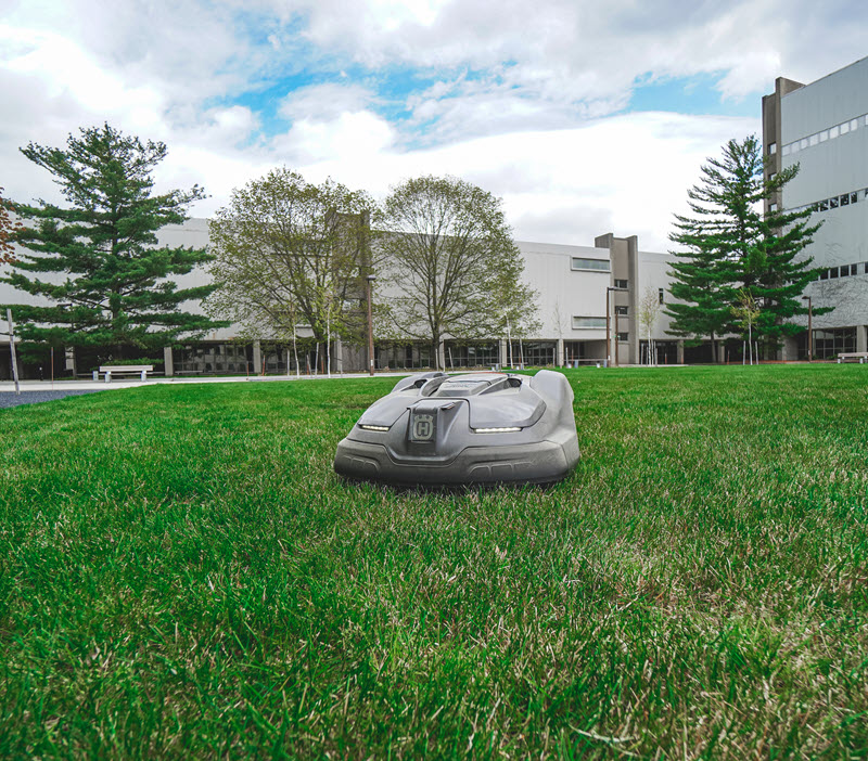 Innovative landscaping practices promote sustainability ...